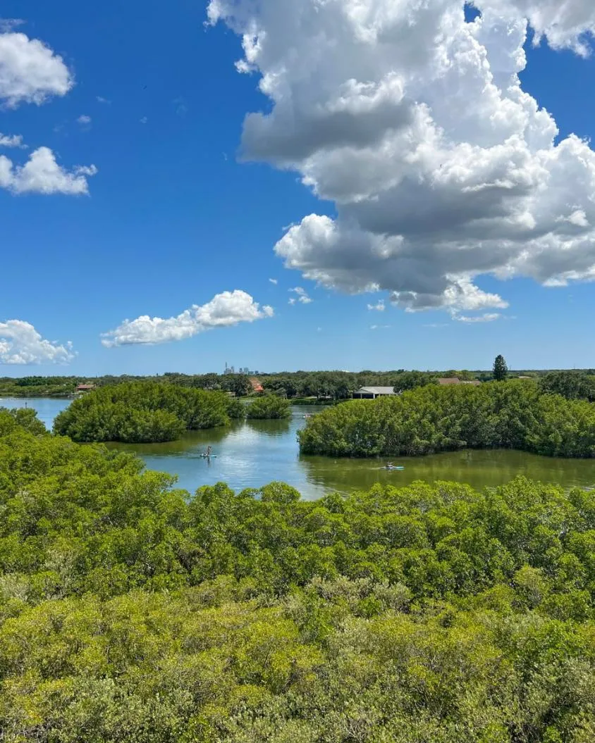 9 Romantic Things to Do in St. Pete for Every Couple